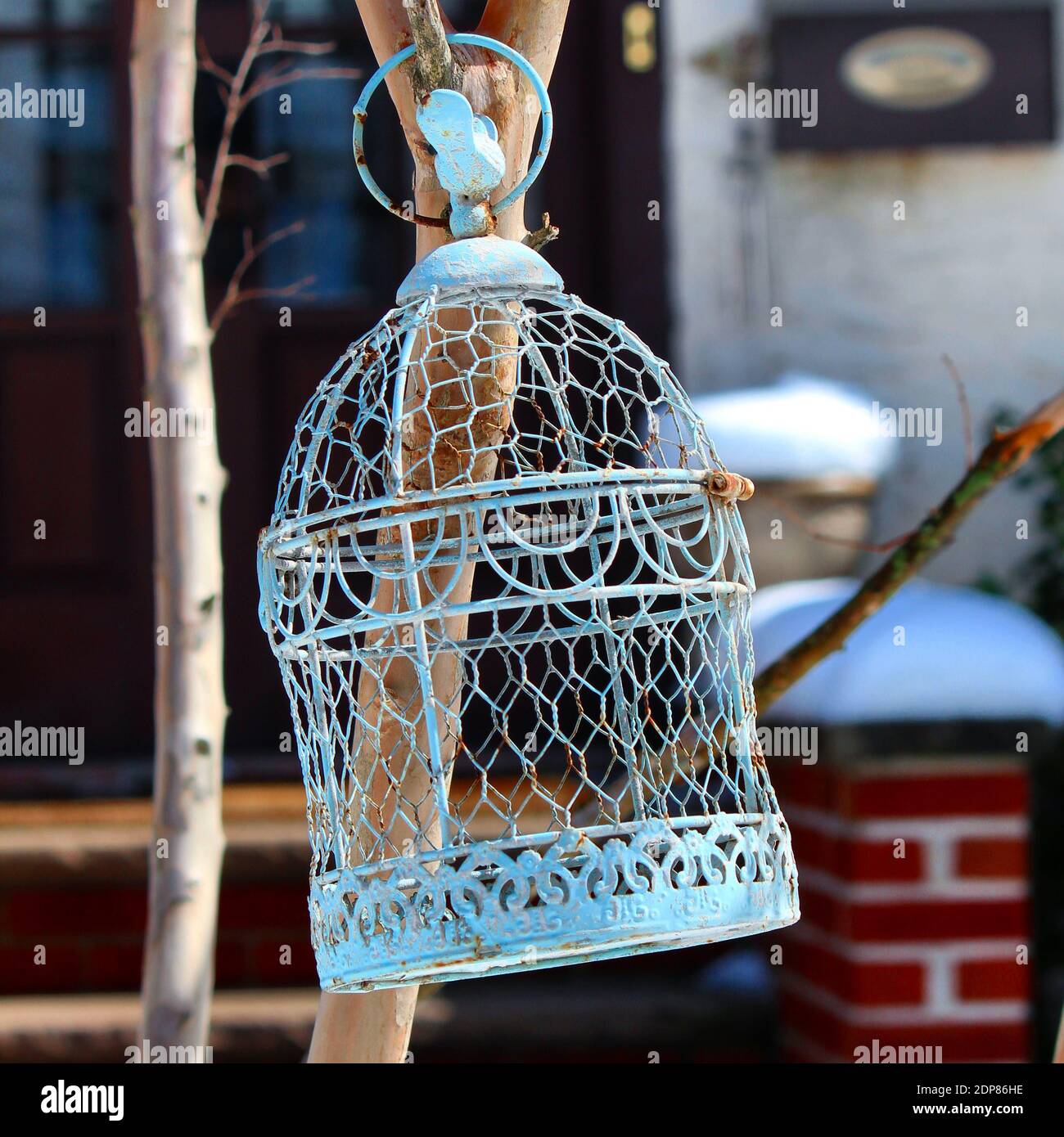 Cage hanging on tree hi-res stock photography and images - Alamy