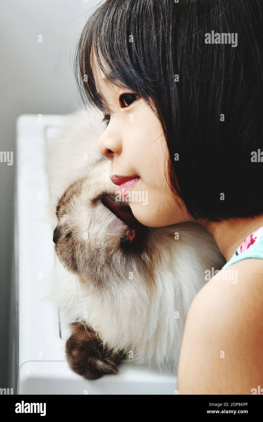 Indian girl with pet cat hi-res stock photography and images - Alamy