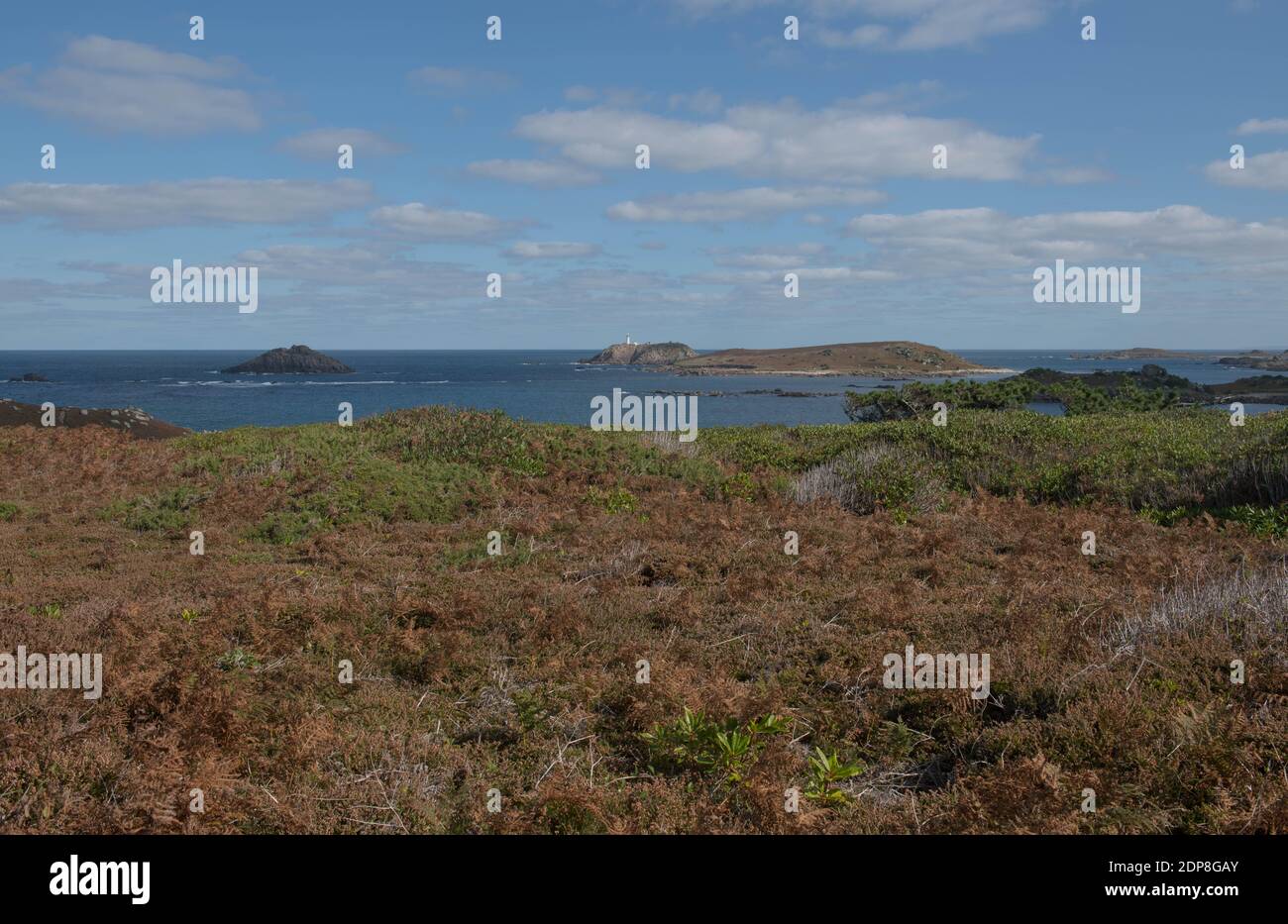 Autumn Brown Bracken on Moorland with the Atlantic Ocean and Round ...