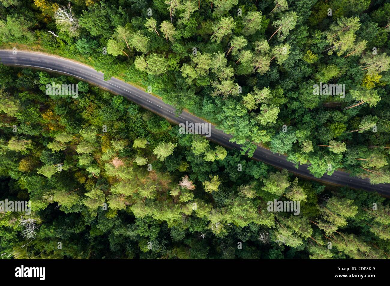 Aerial view of road in forest Stock Photo - Alamy