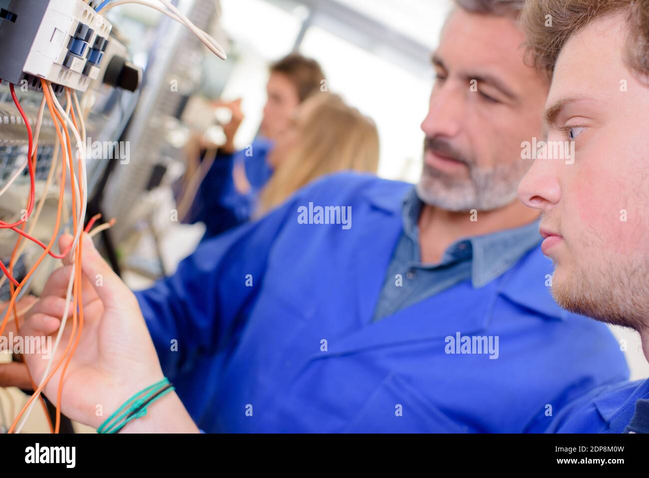 Student learning how to wire an electrical box Stock Photo - Alamy