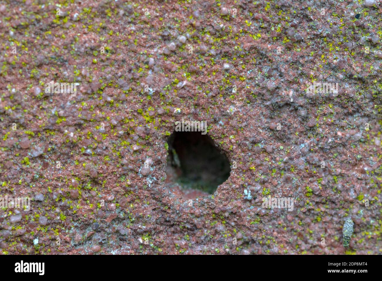 Wallpaper hole in red brick hi-res stock photography and images - Alamy