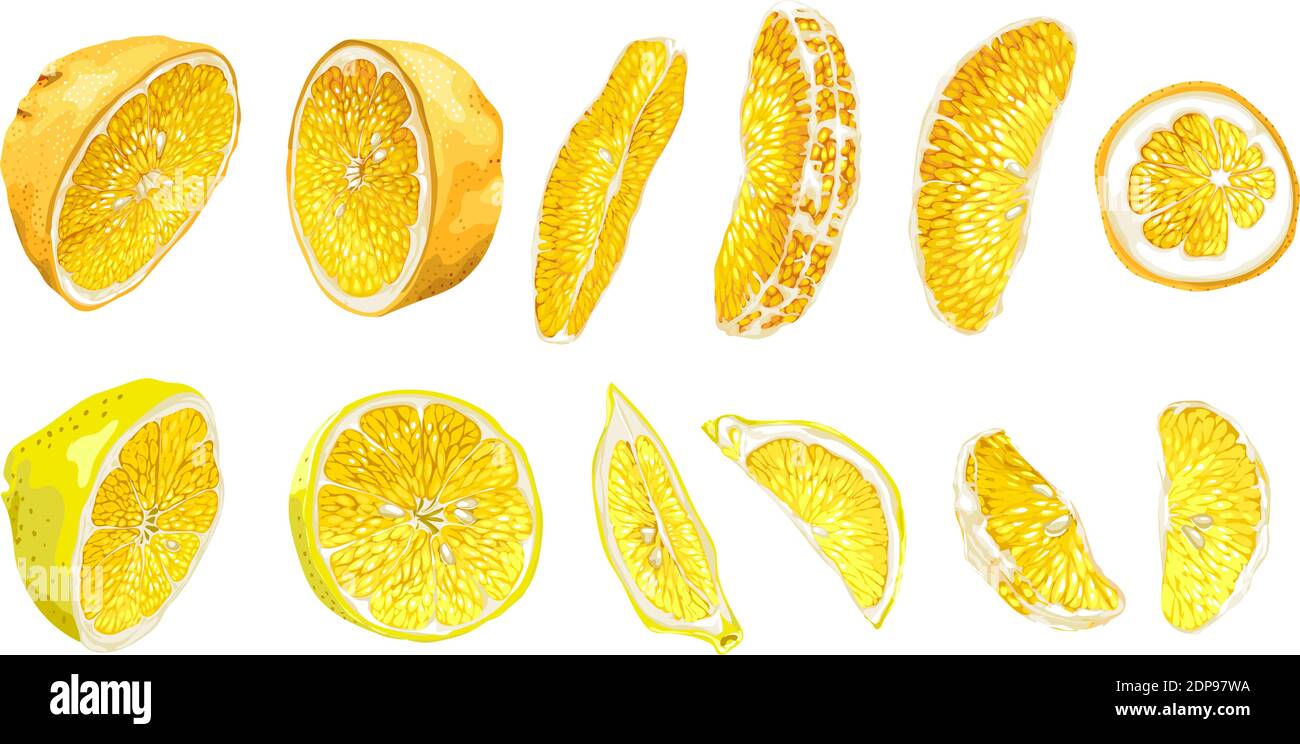 Fruit set with lemon and orange in halves and slices in different parts ...