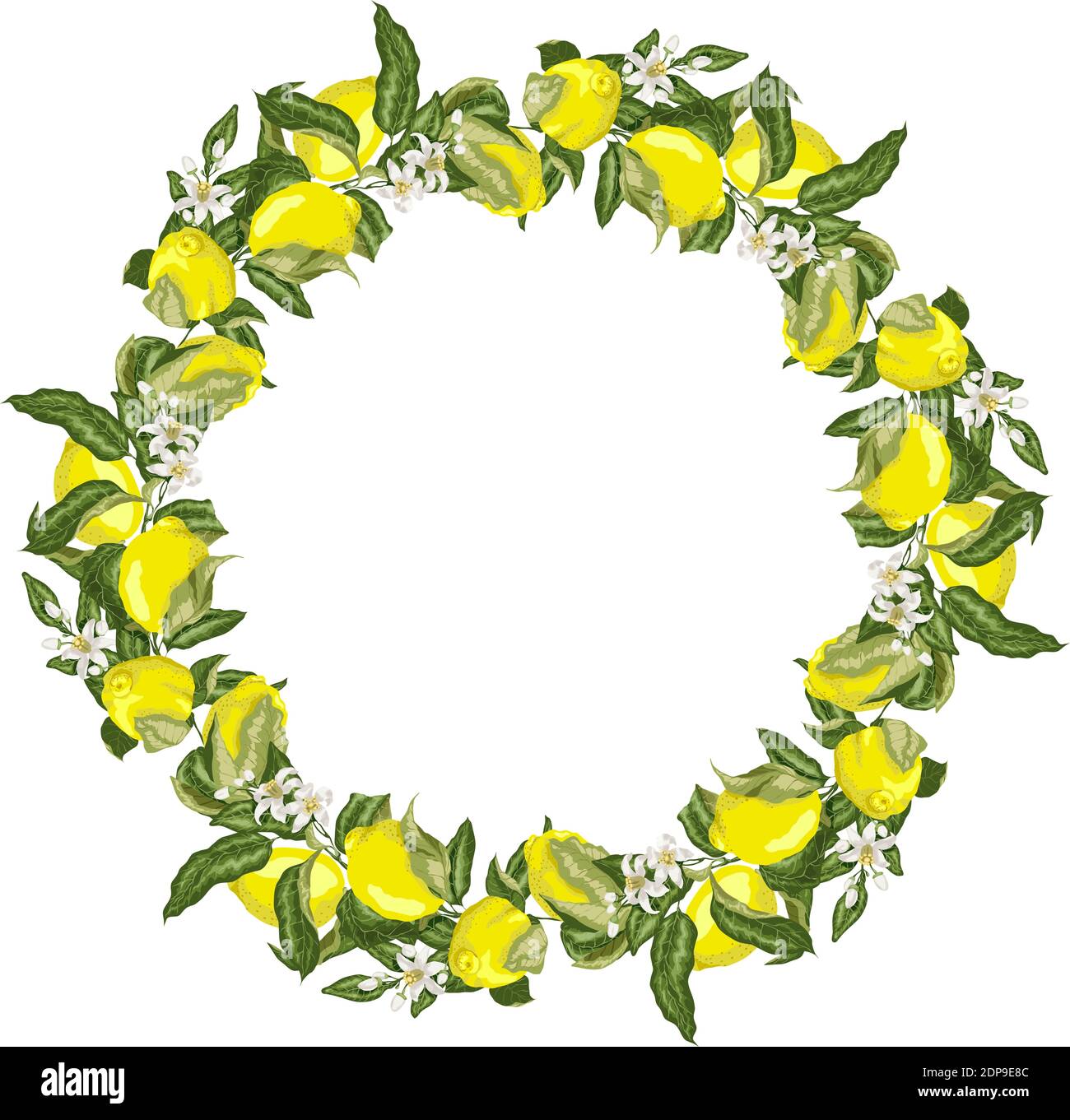 Lemon tree in blossom Stock Vector Images - Alamy