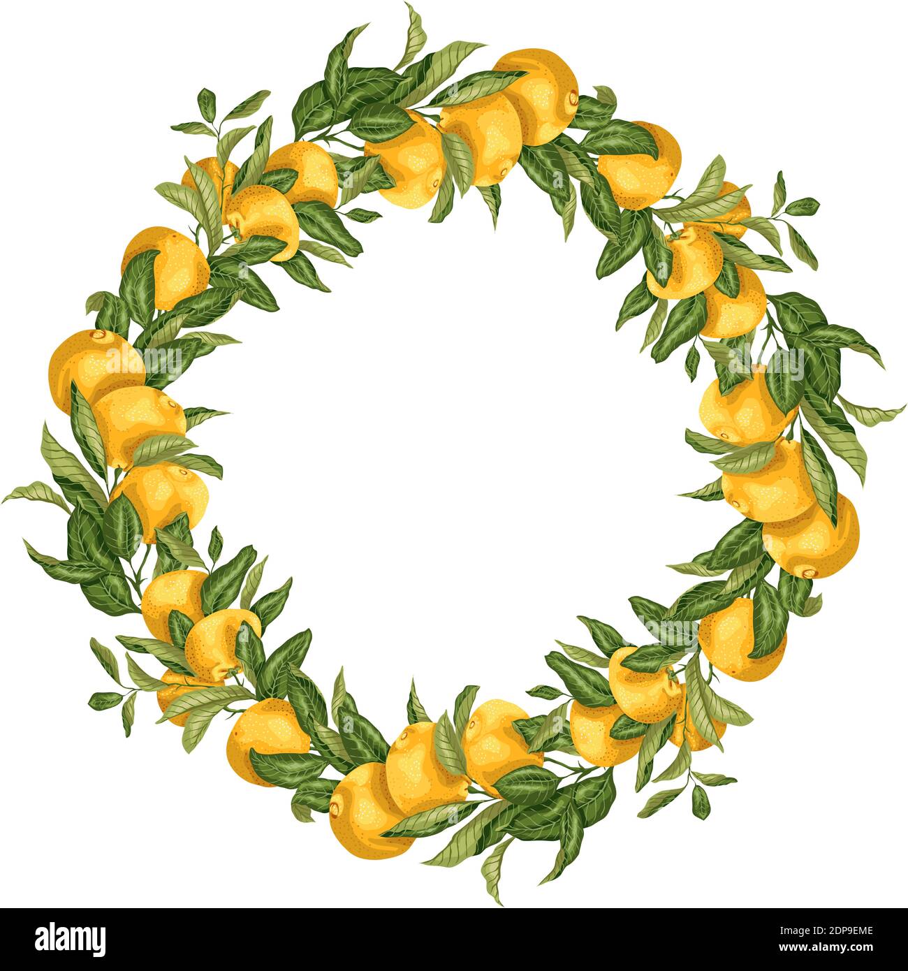Vector illustration template wreath with citrus fruit tree branch with ...