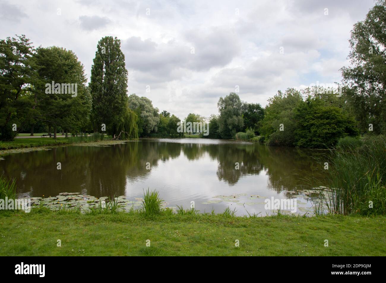 Beautiful Pond At The Flevopark Park At Amsterdam The Netherlands 18-6 ...