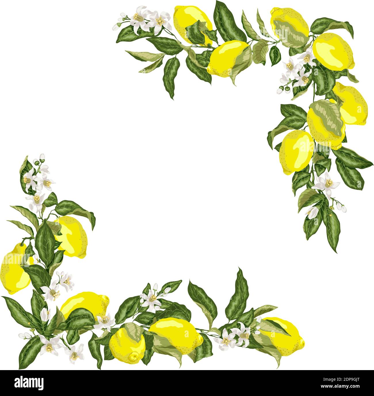 Lemon Flower Vector