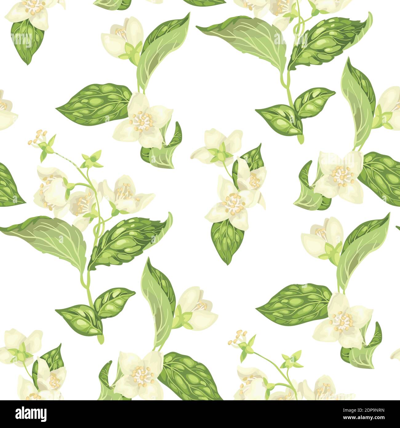 Seamless pattern with jasmine branches with flowers in realistic graphic vector illustration ...