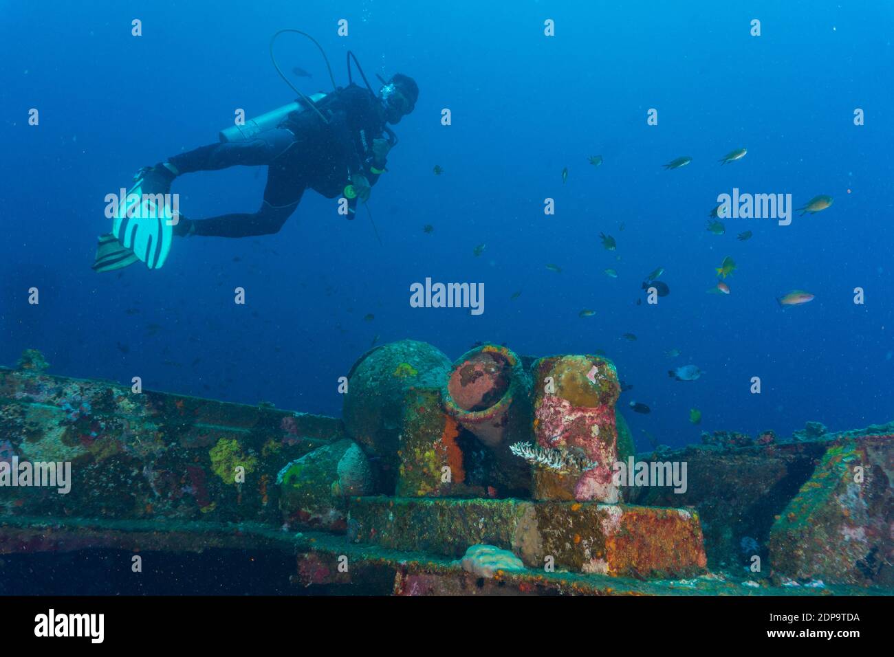 Scuba Diver exploring Kubu Shipwreck in Bali (Indonesia Stock Photo - Alamy
