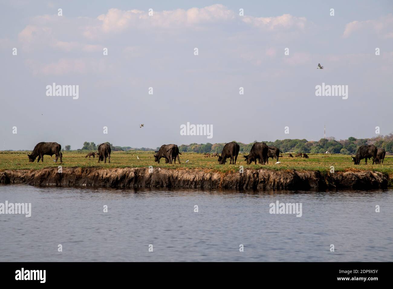 Botshabelo High Resolution Stock Photography and Images - Alamy