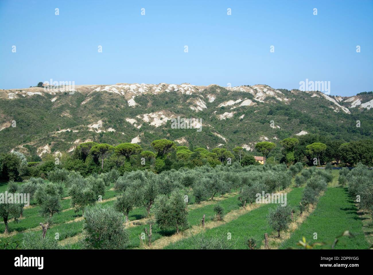 Tuscany is a region in central Italy and is known for its landscapes ...