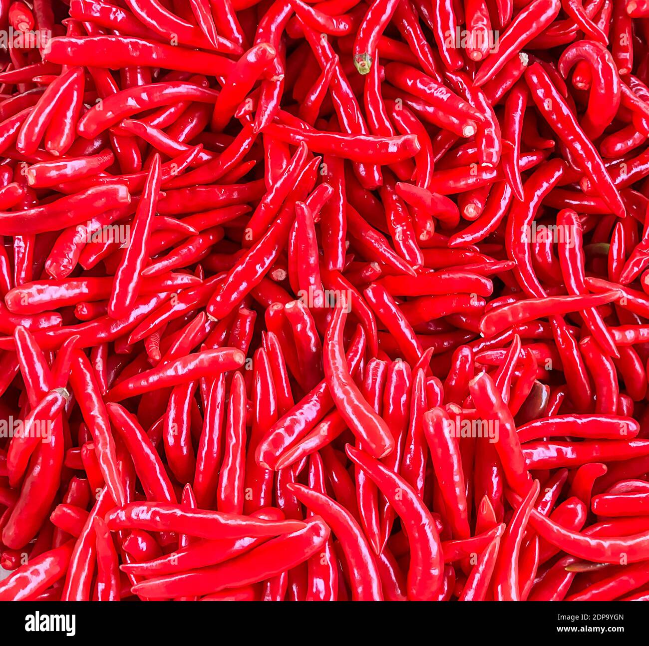 Background of red spicy peppers,from thailand Stock Photo - Alamy