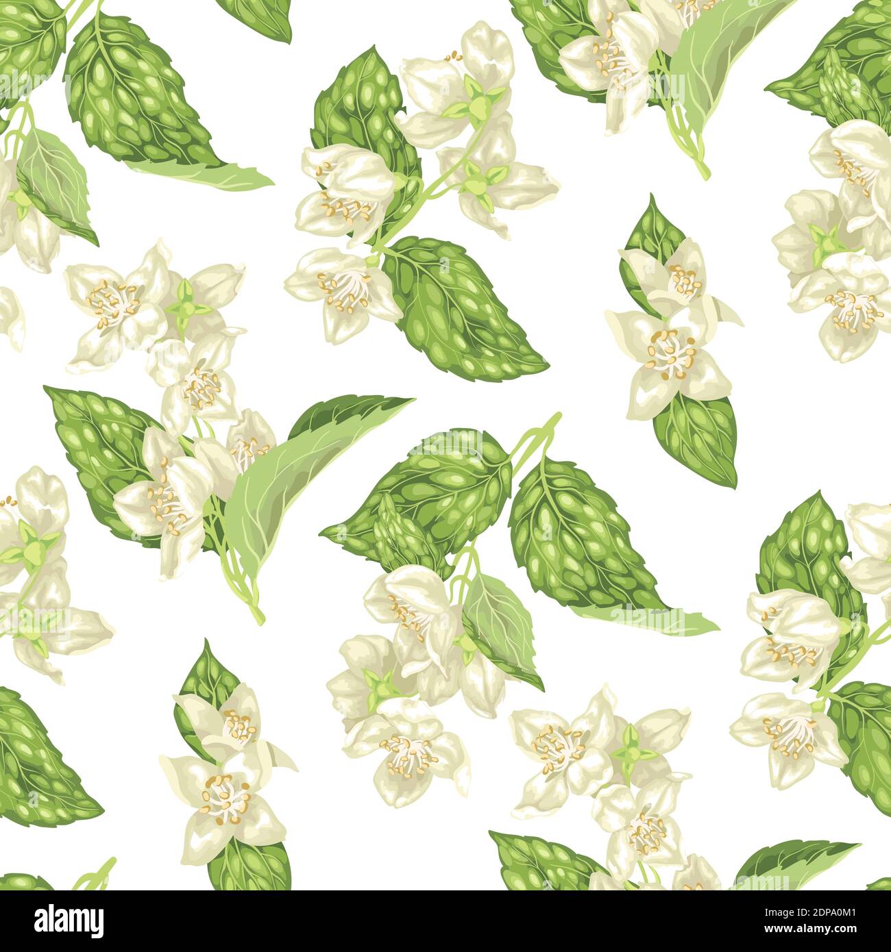 Jasmine flowers seamless pattern in realistic graphic vector ...