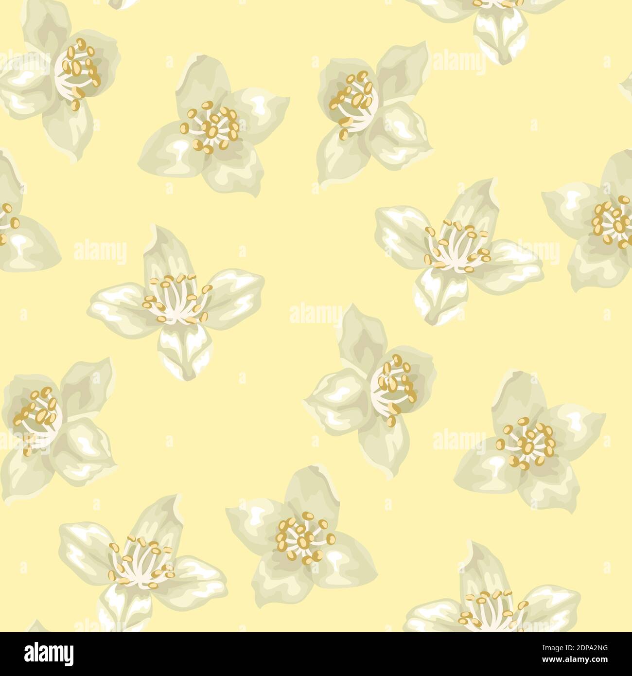 Seamless pattern with jasmine flowers in realistic graphic vector ...