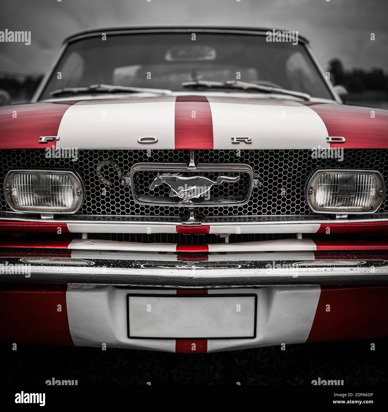 Mustang car front hi-res stock photography and images - Alamy