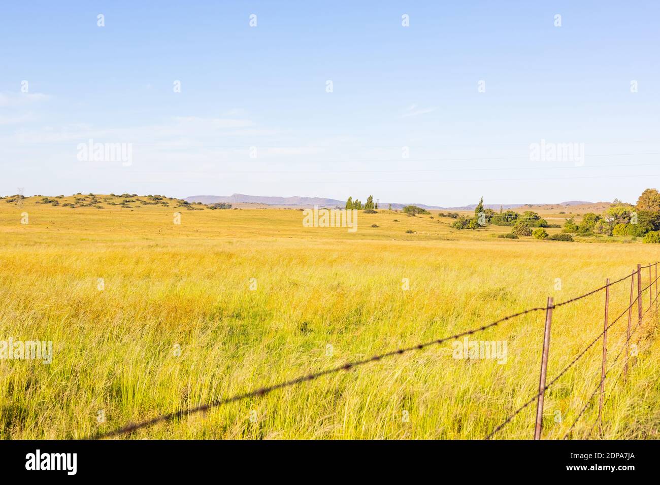 Boundless field hi-res stock photography and images - Alamy