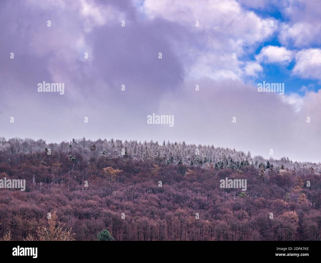 Frozen peak of forest hill with thick snow clouds in the sky Stock ...