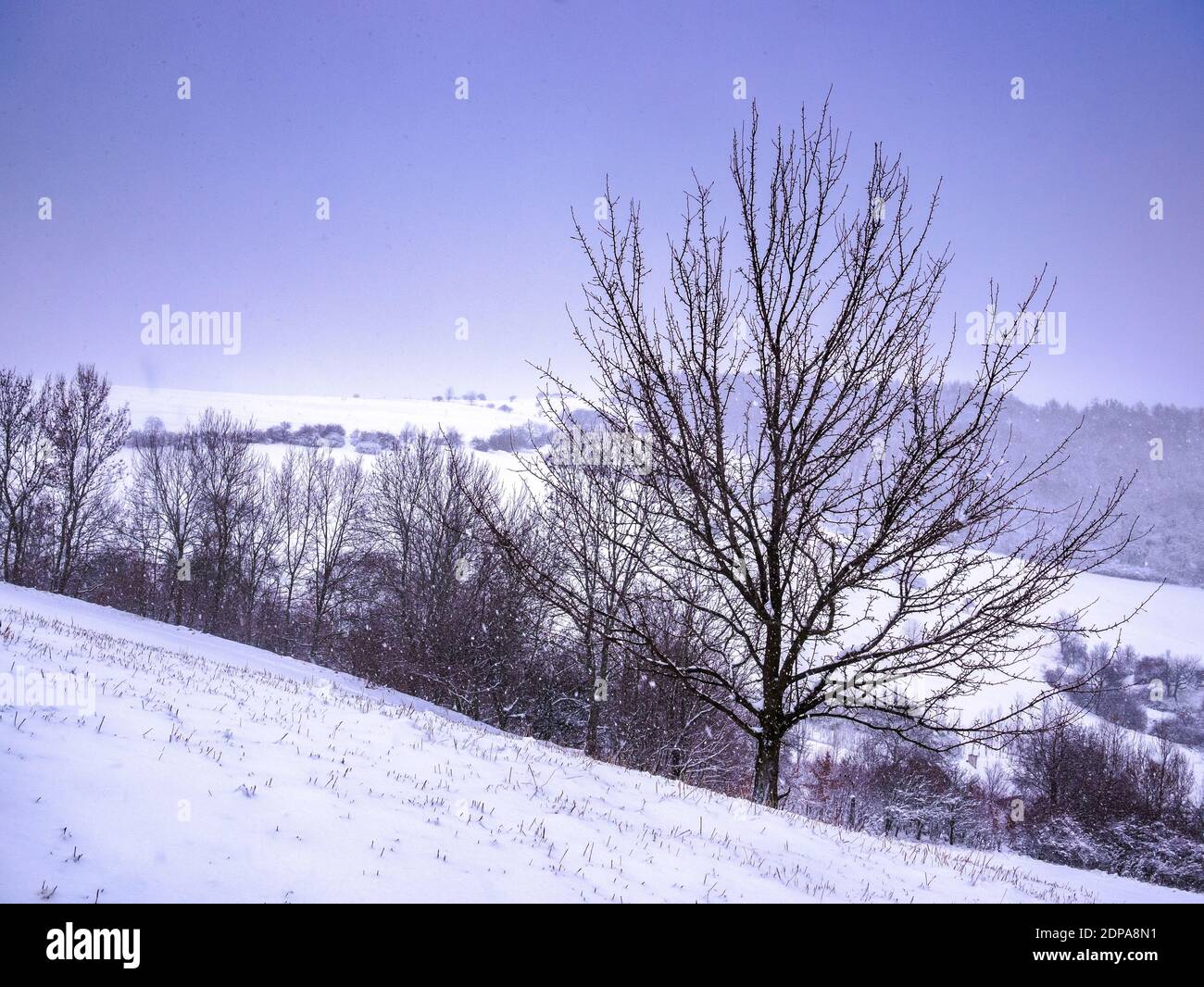 Heavy snowfall captured motion hi-res stock photography and images - Alamy
