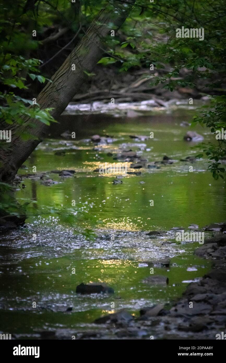 Small stream ripples hi-res stock photography and images - Alamy