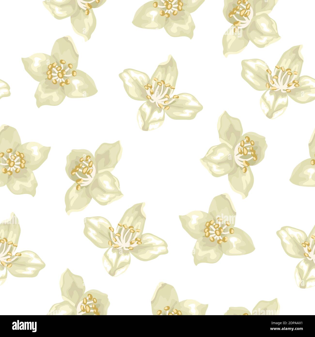 Seamless pattern in vector illustation with jasmine flowers in ...