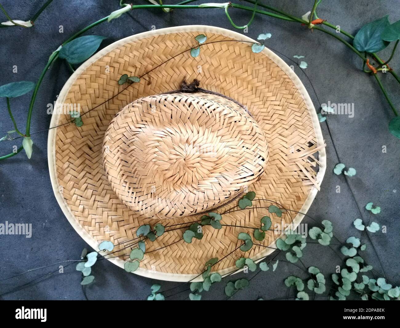 A top view closeup of a thatch hat placed on a grey surface with plant leaves Stock Photo - Alamy