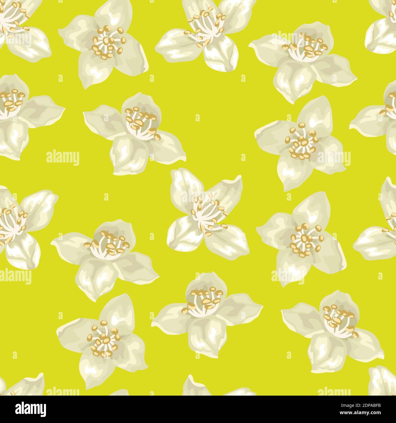 Seamless pattern in vector illustation with jasmine flowers in ...