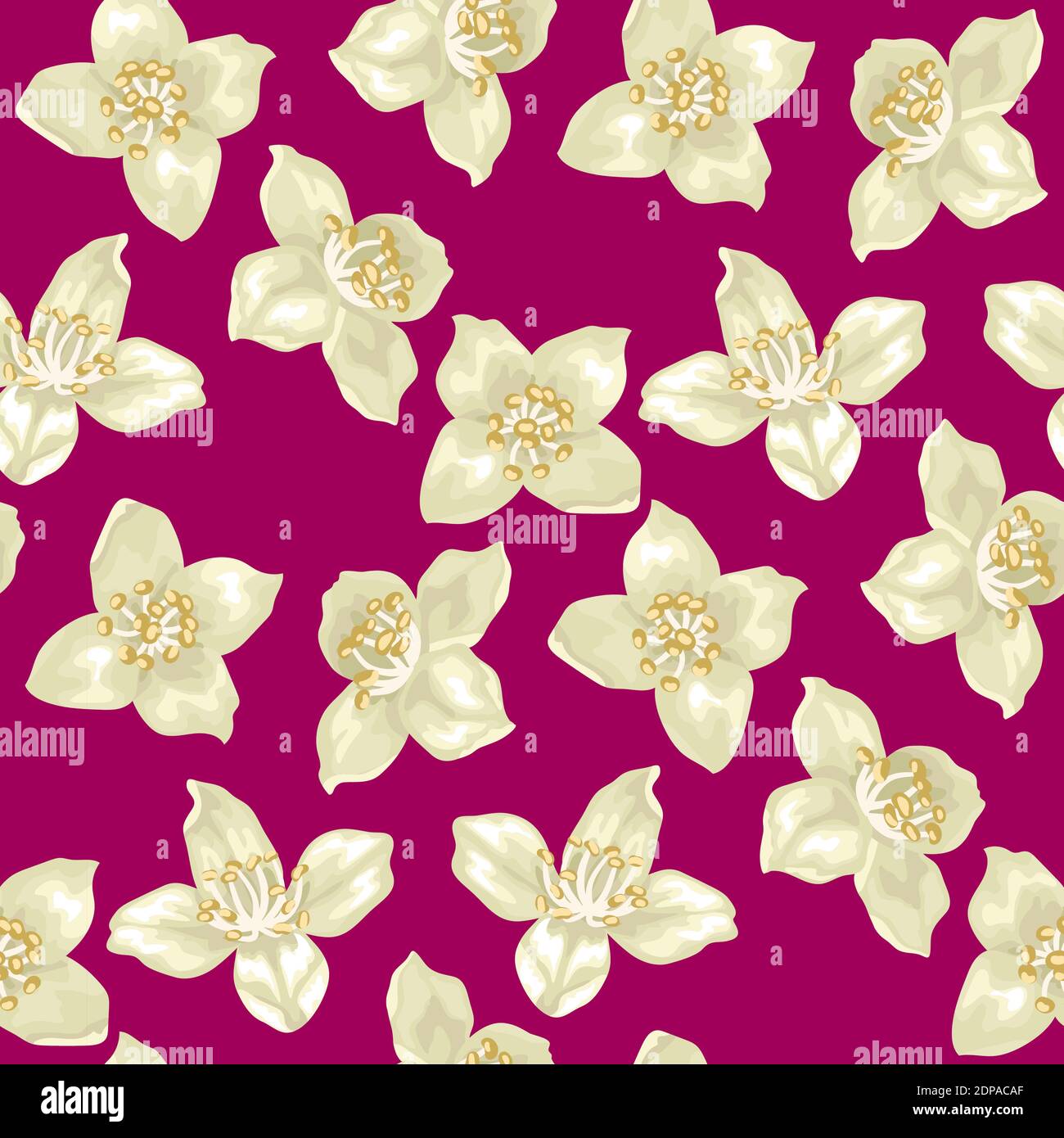 Seamless pattern in vector illustation with jasmine flowers in ...