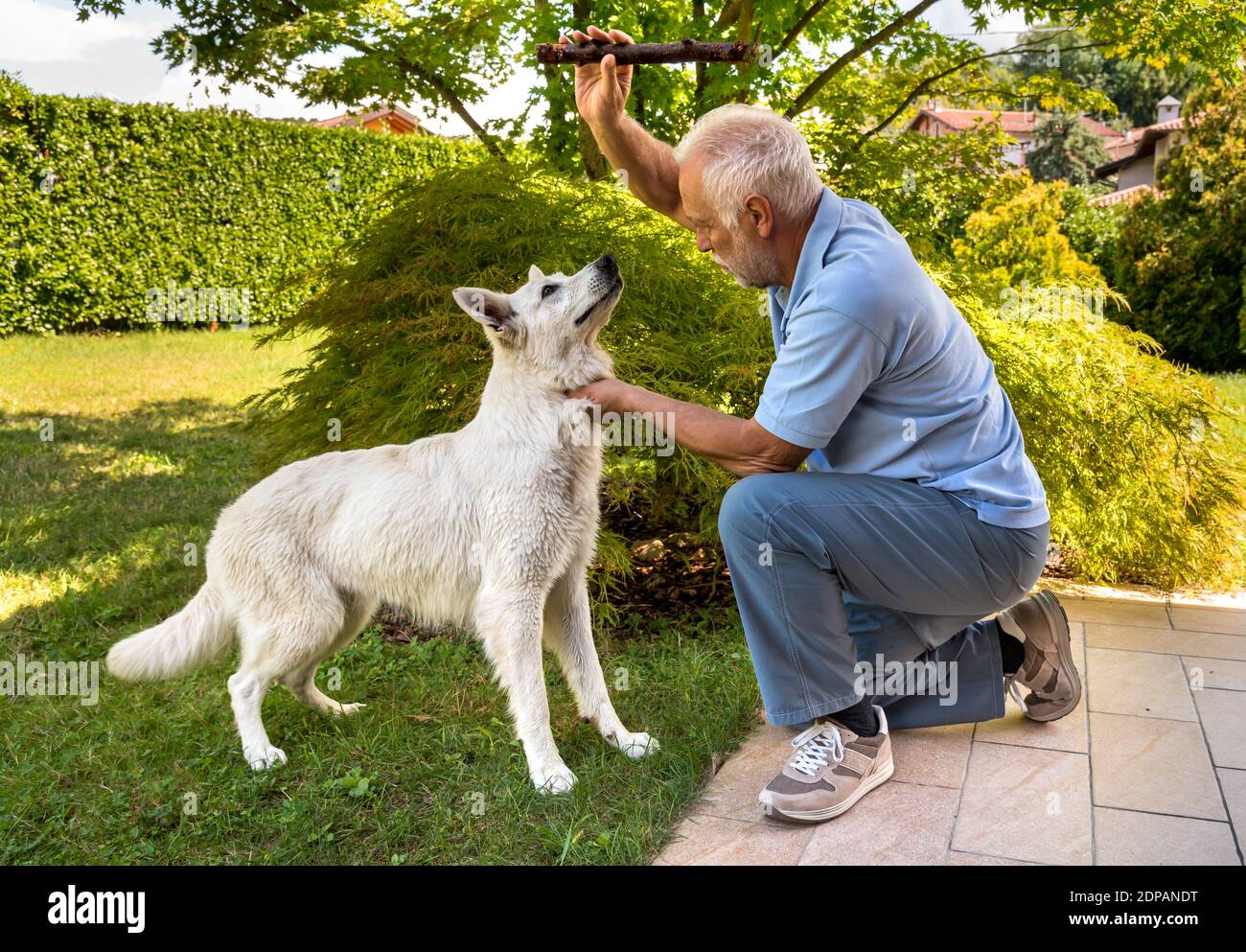 Man throwing stick to dog hi-res stock photography and images - Alamy