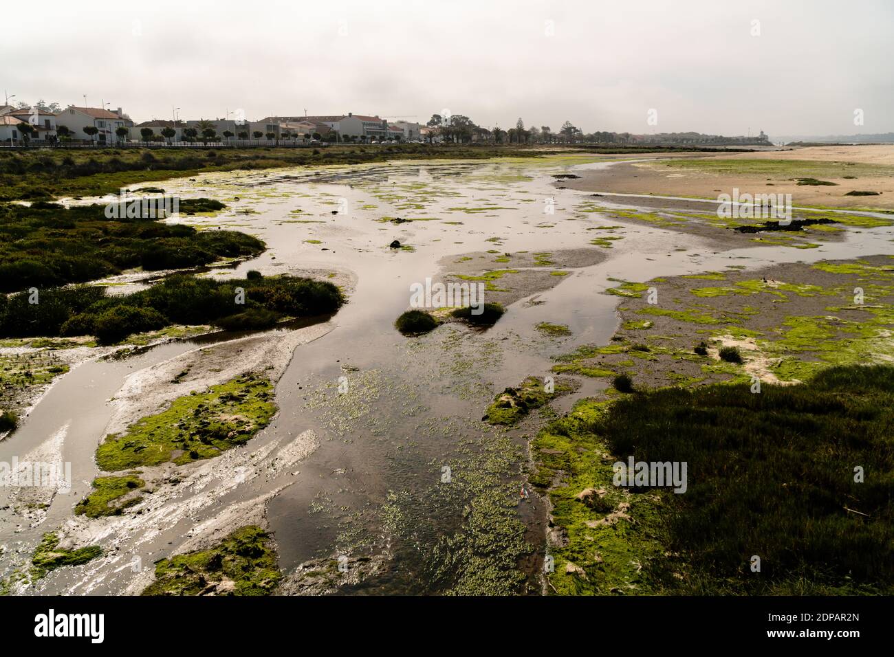 A landscape with a marsh and moss surrounded by building Stock Photo ...