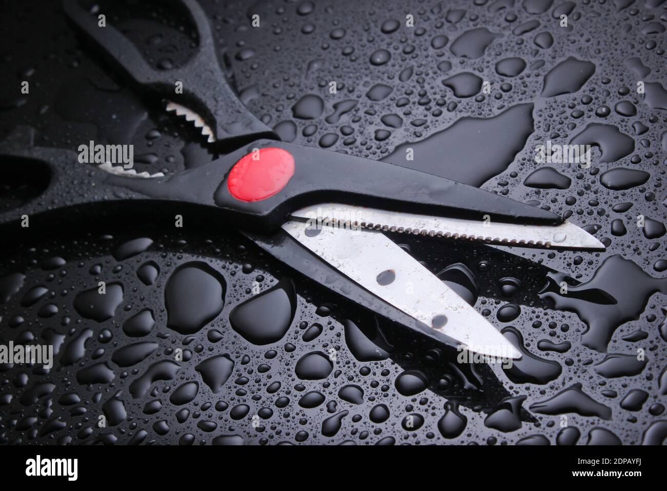 Kitchen scissors on a black background with water drops Stock Photo - Alamy