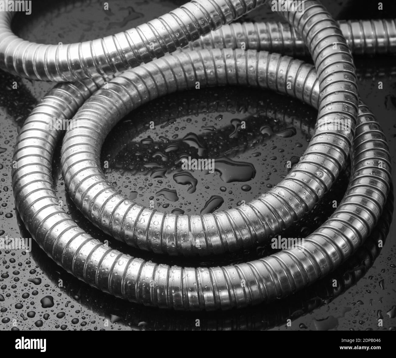 Metal shower hose on a black background with water drops Stock Photo ...