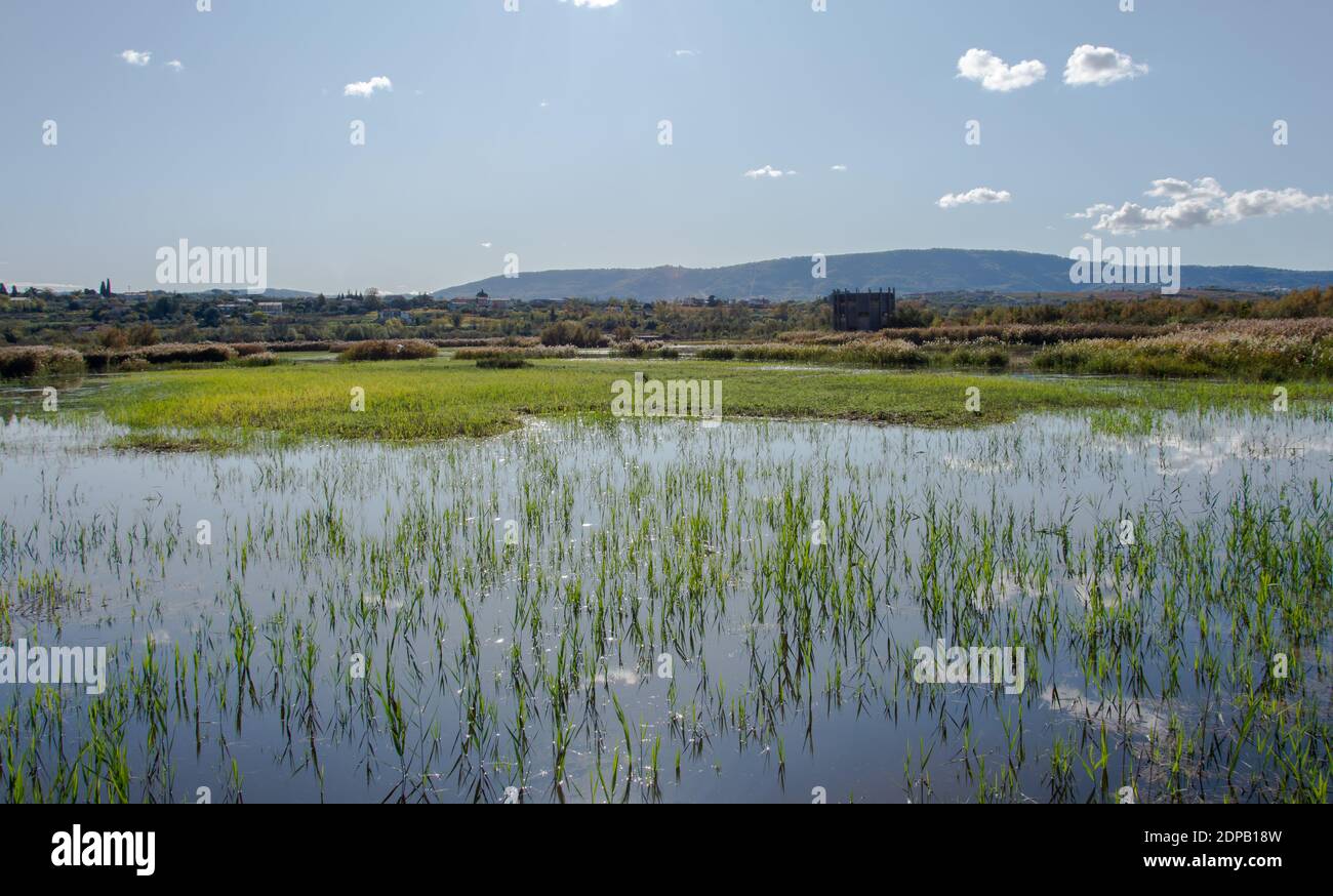 The wetland in the Škocjan Inlet Nature Reserve , October 2019 Stock ...