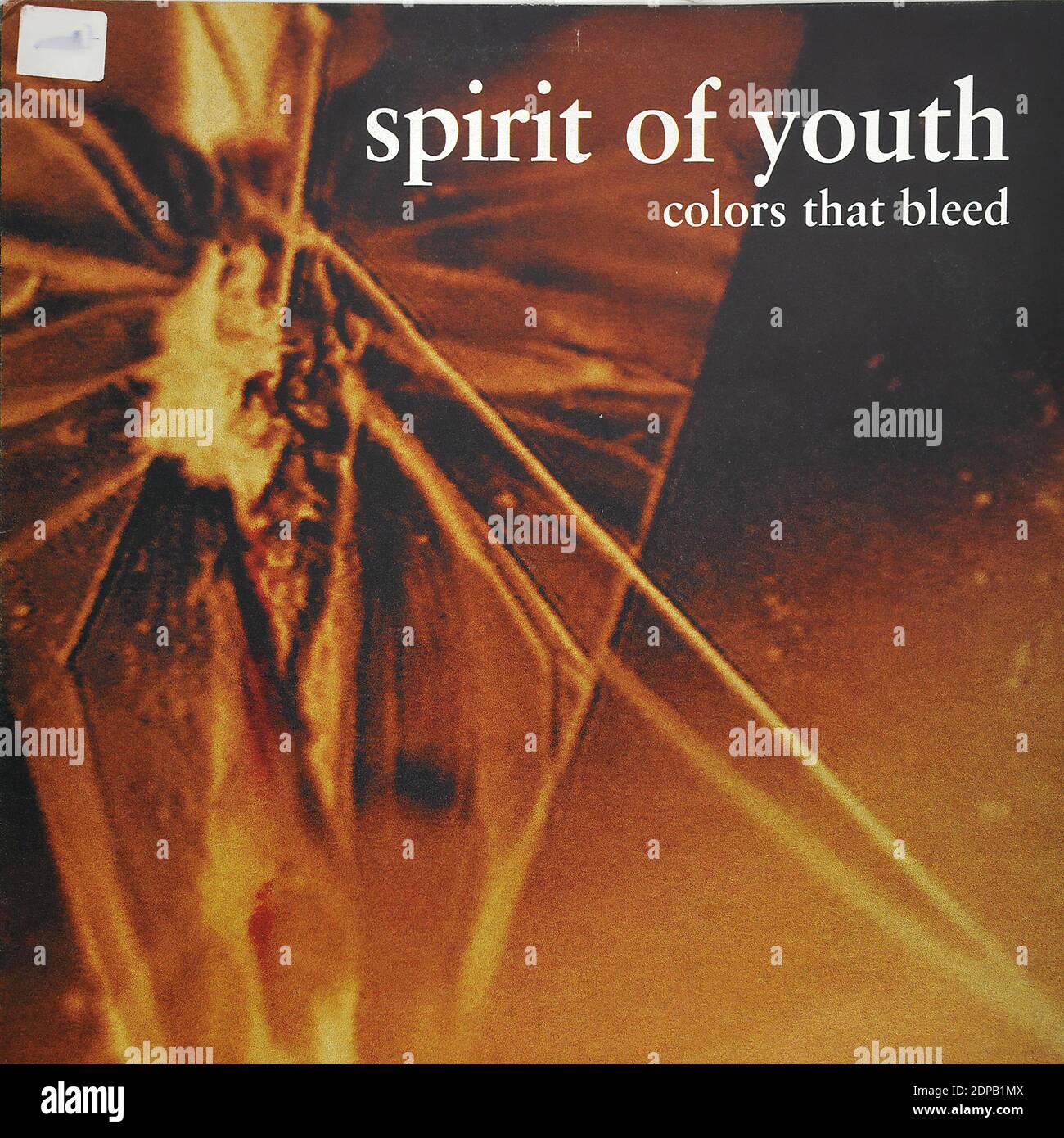 SPIRIT OF YOUTH Colors That Bleed 12 Coloured Vinyl Goodlife - Vintage ...
