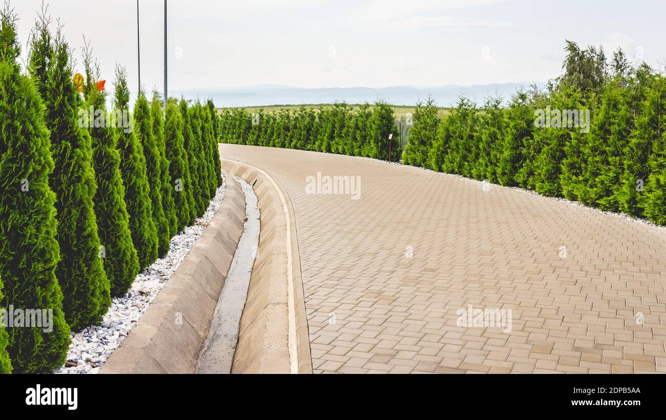 A pavement surrounded by trees in a park under the sunlight Stock Photo ...