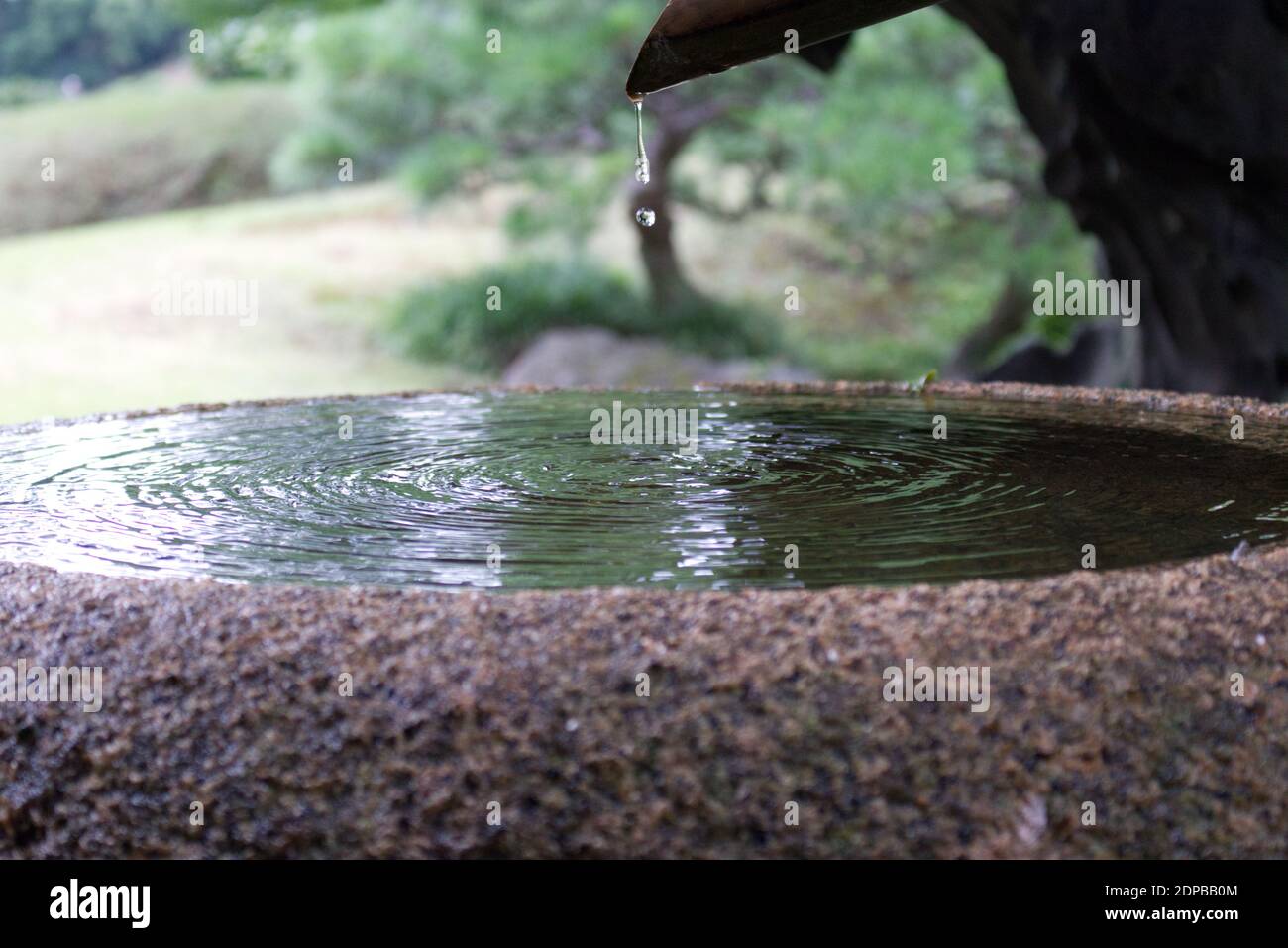 Water basin in the calm water dripping from a bamboo cane, on a ...