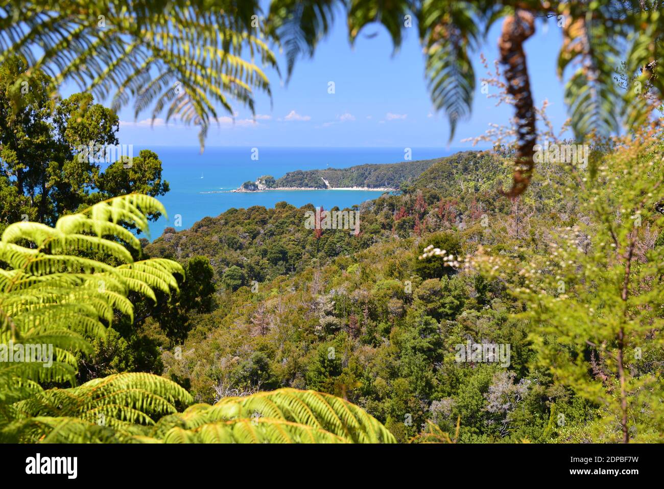 Tasman national park hi-res stock photography and images - Alamy