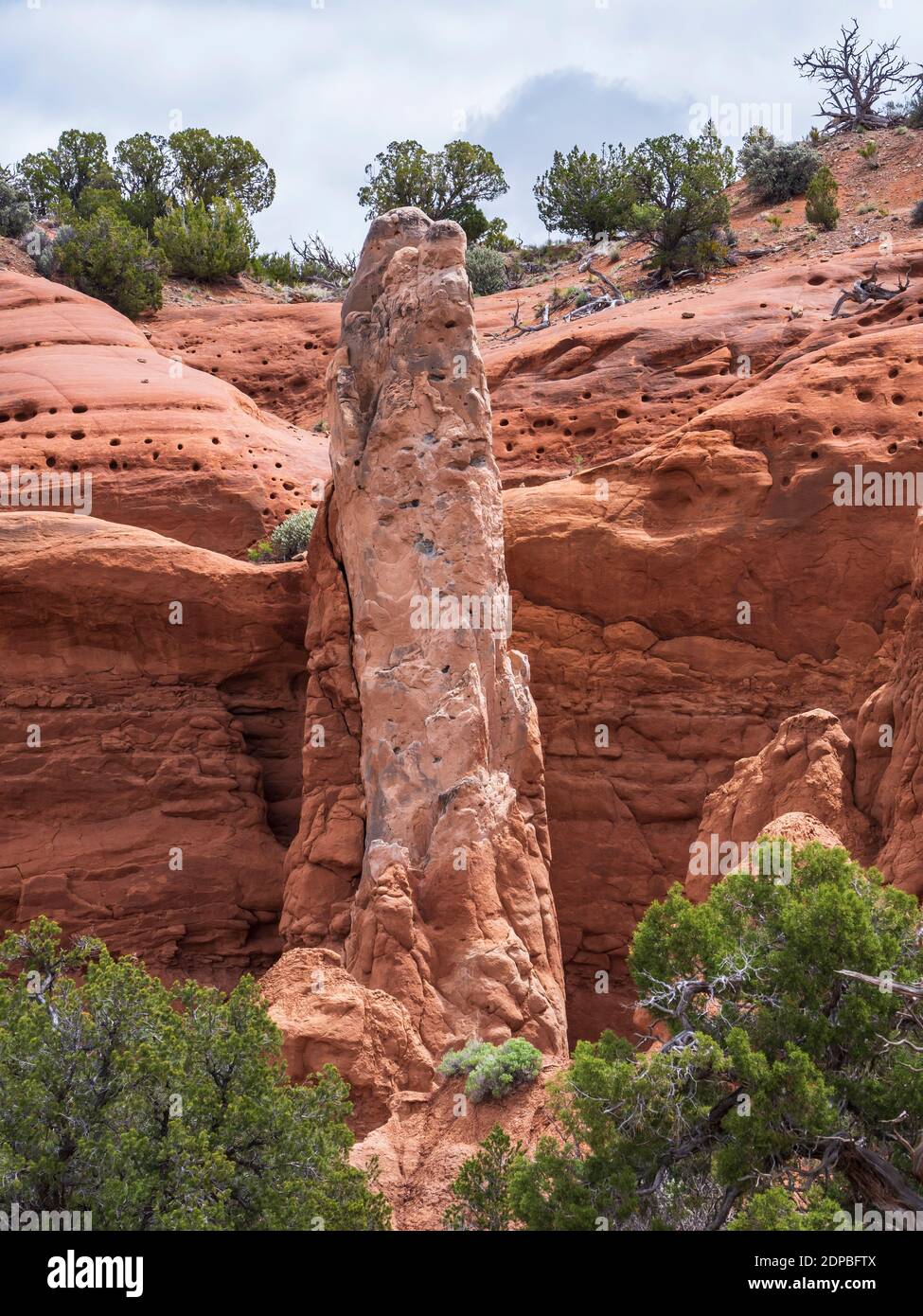 The Sentinel, Shakespeare Arch-Sentinel Trail, Kodachrome Basin State ...