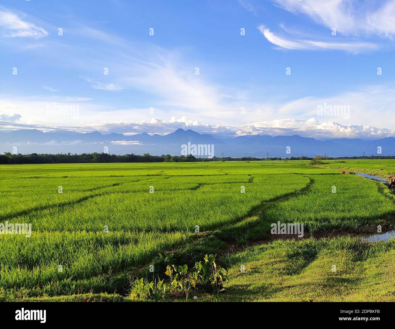 Udalguri hi-res stock photography and images - Alamy