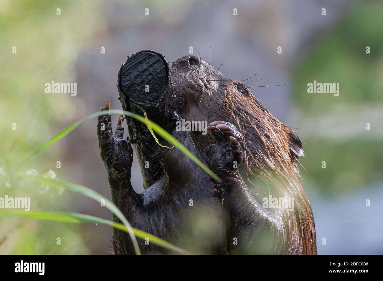 Extreme angle view hi-res stock photography and images - Alamy