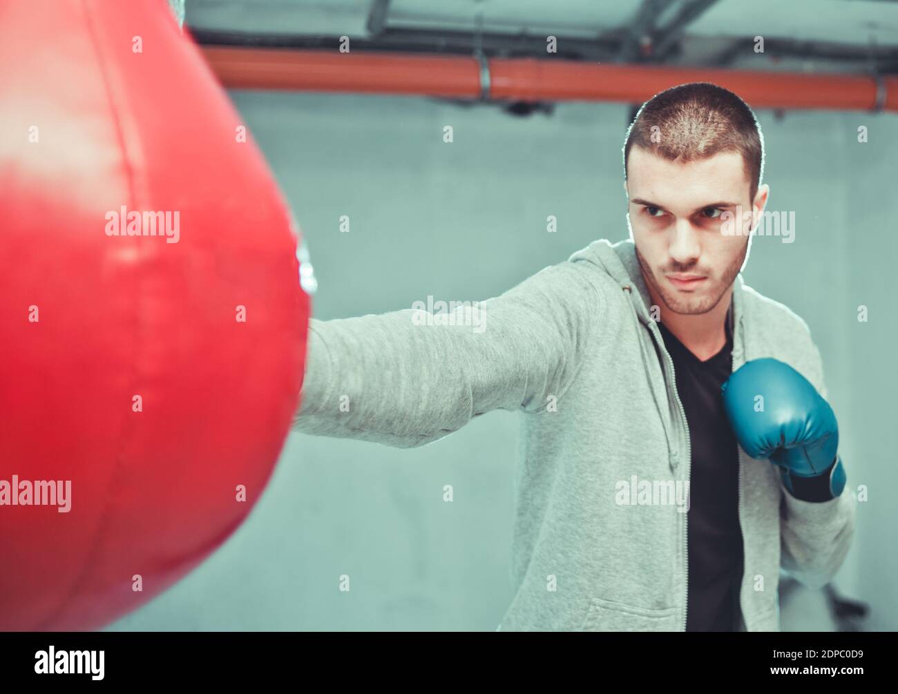 Handsome male boxer trains hand punches with a punching bag Stock Photo ...