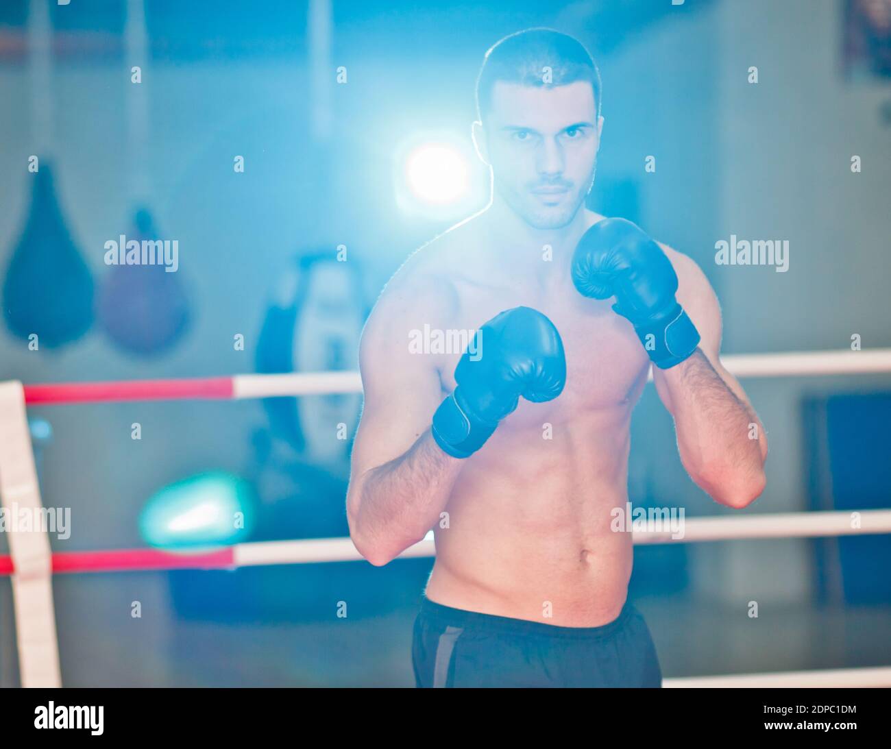 Portrait of boxer on the boxing ring at gym Stock Photo - Alamy