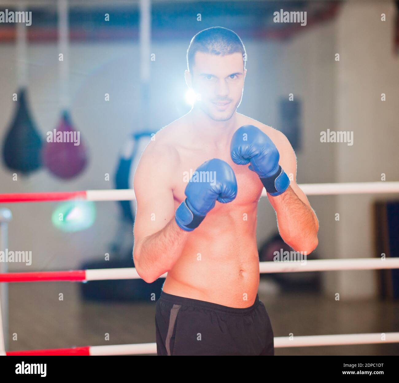 Portrait of boxer on the boxing ring at gym Stock Photo - Alamy