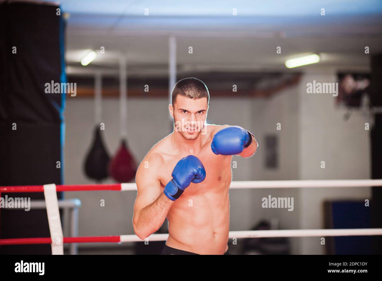 Portrait of boxer on the boxing ring at gym Stock Photo - Alamy