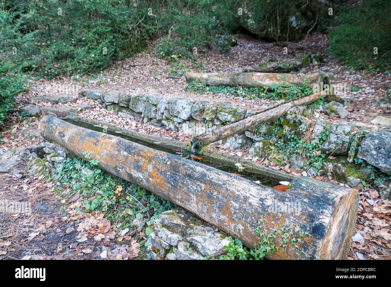 Els font hi-res stock photography and images - Alamy