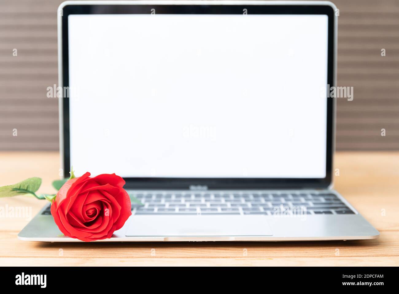 Red rose on laptop computer hi-res stock photography and images - Alamy