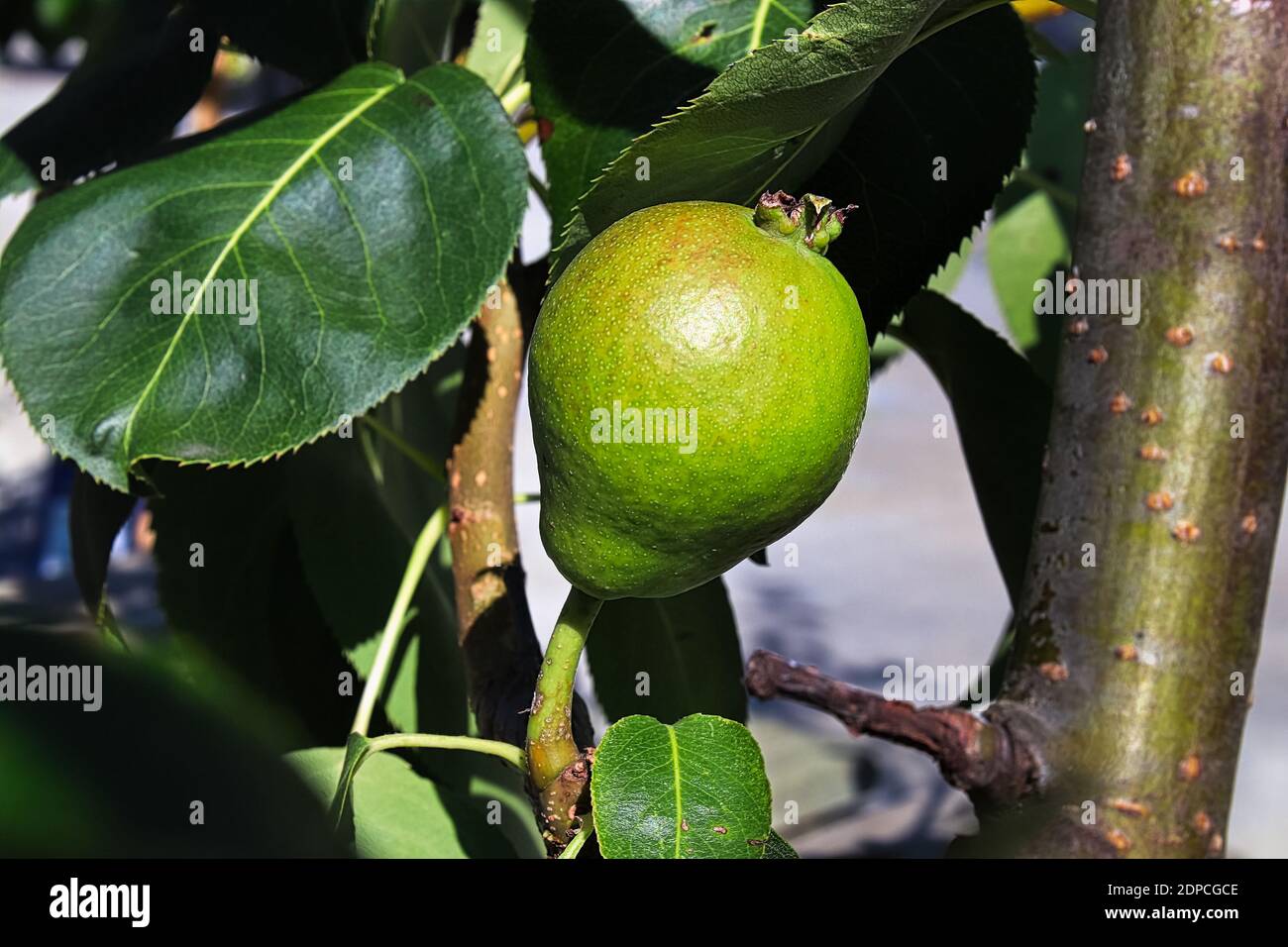 Large upright edge hi-res stock photography and images - Alamy