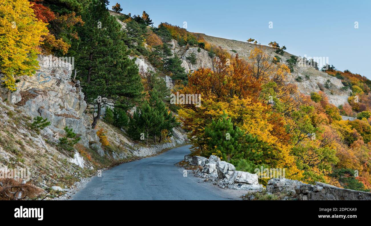 beautiful nature in the mountains of crimea in the area of ai-petri ...