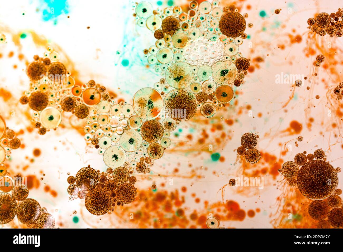 A microscopic closeup of bacteria and microbes Stock Photo - Alamy