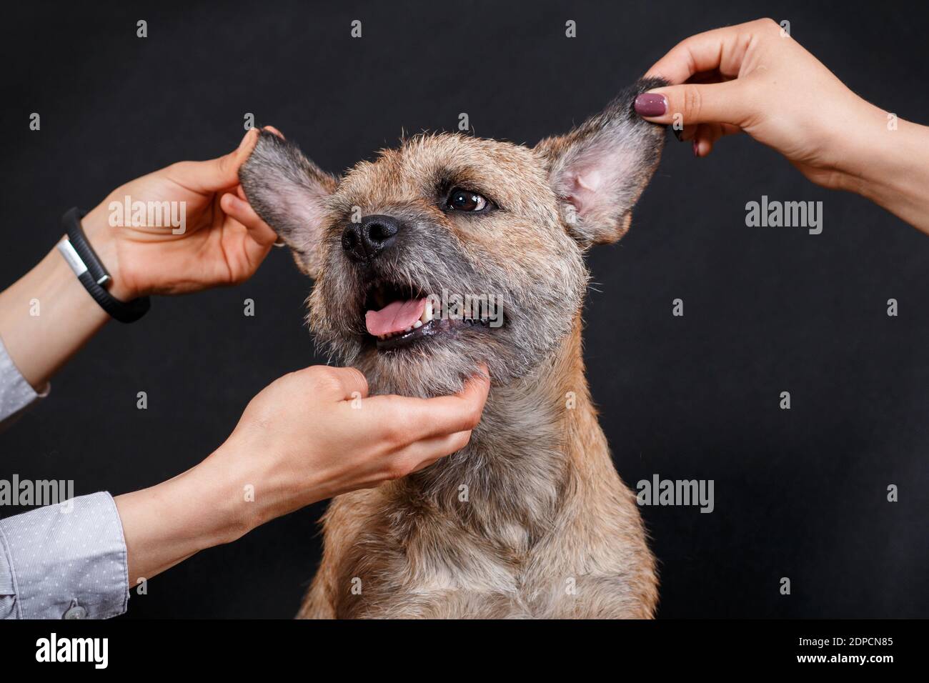 Tickle view hi-res stock photography and images - Alamy