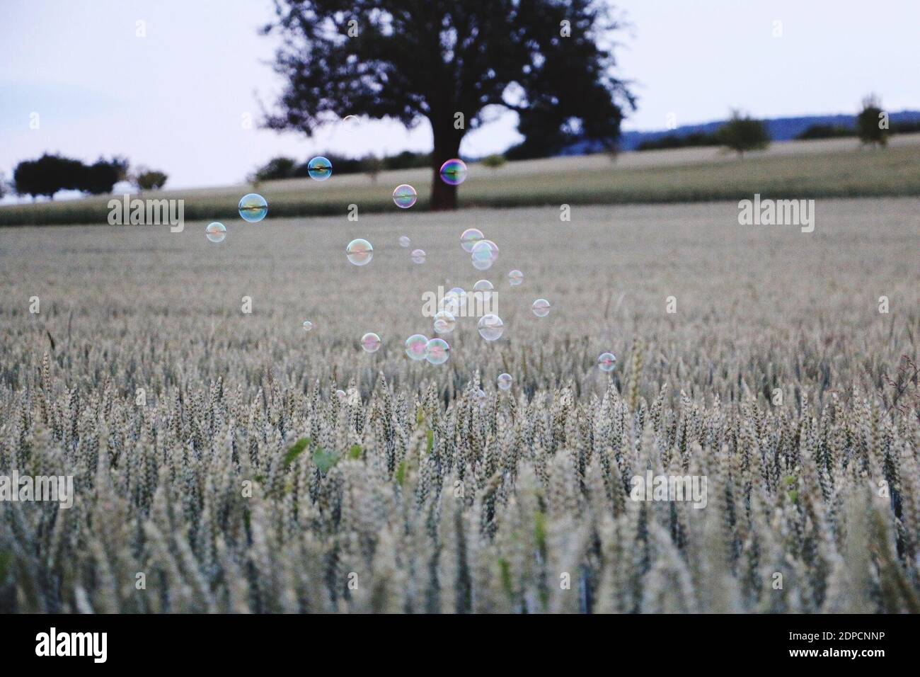 Bubble landscape hi-res stock photography and images - Alamy